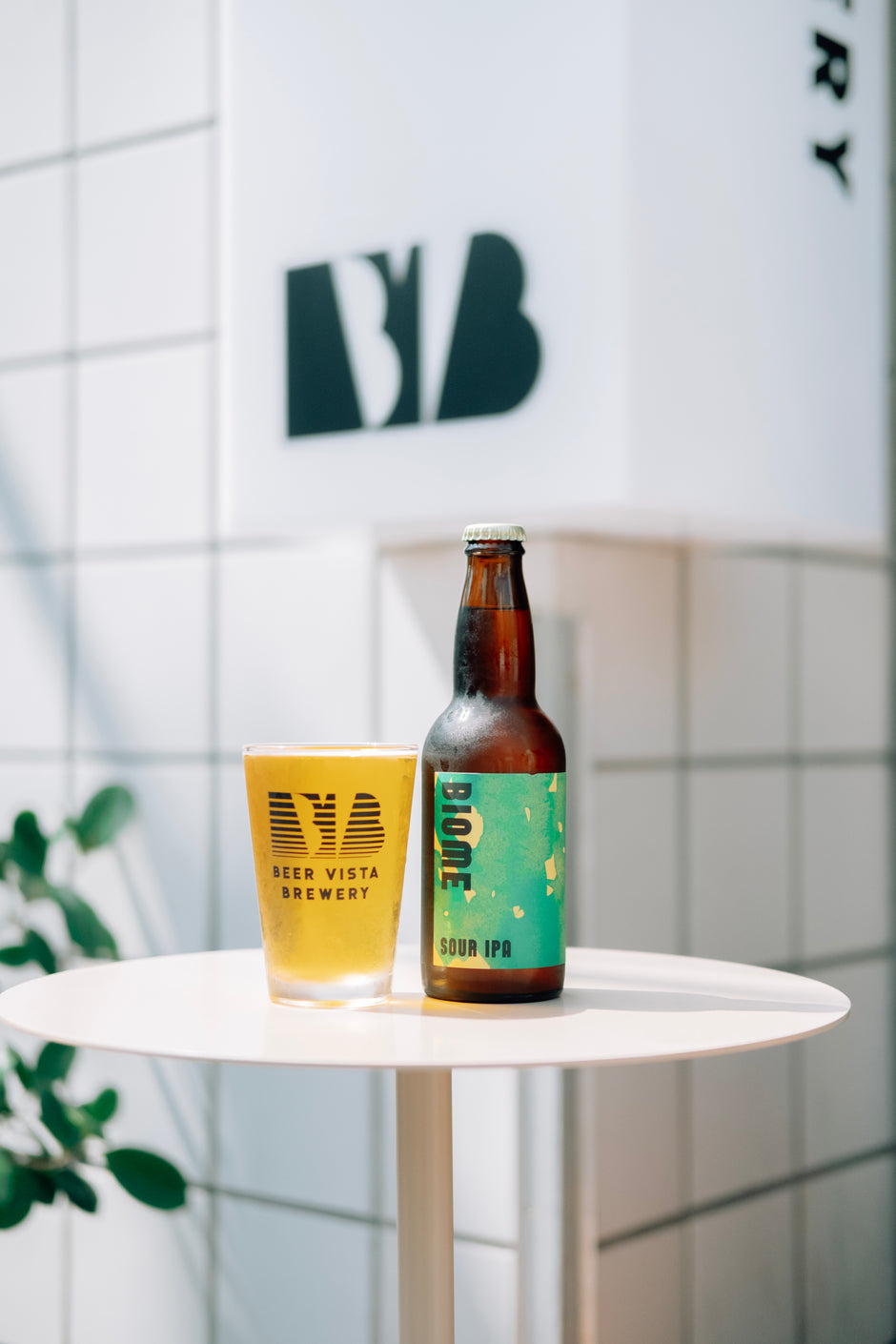 BOTTLE BEER – BEER VISTA BREWERY